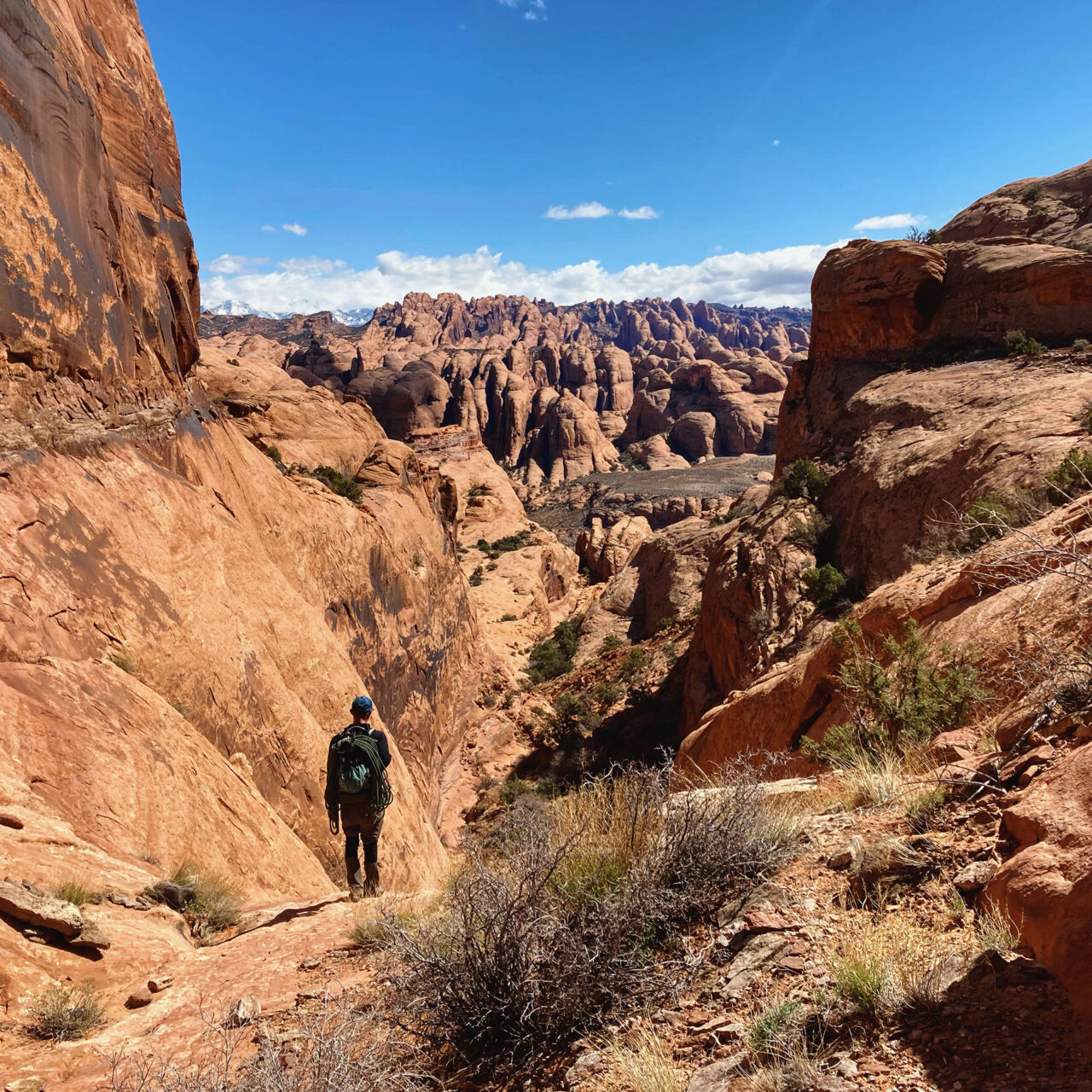 Beginning Canyoneering Trip – 1/2 Day Bow and Arrow – Spectacular Dry ...